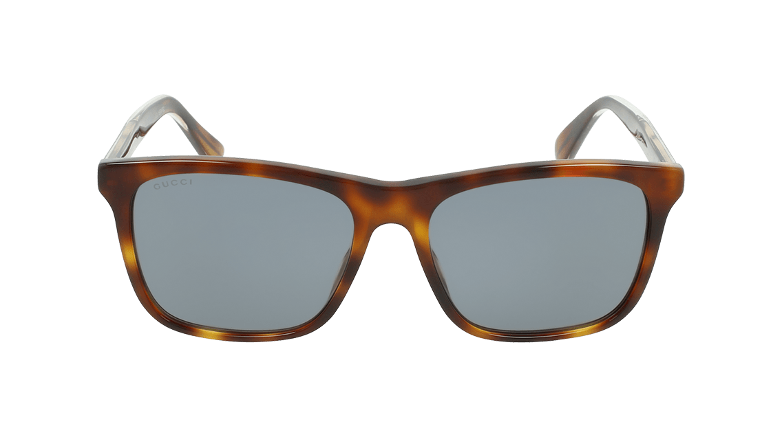 Gucci GG0381S Sunglasses | Designer Glasses