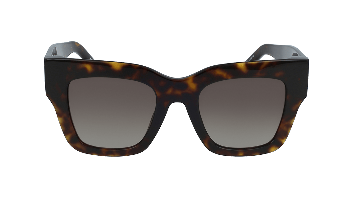 Hugo Boss 1386/S Sunglasses | Designer Glasses