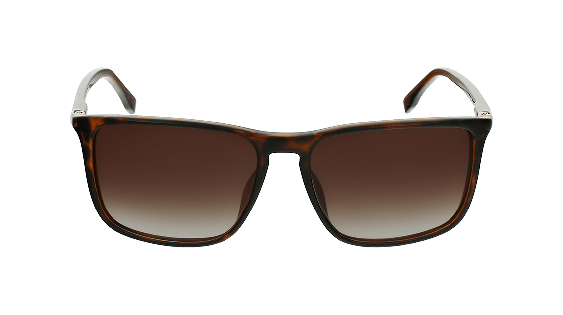 Hugo Boss Boss 0665/N/S Sunglasses | Designer Glasses