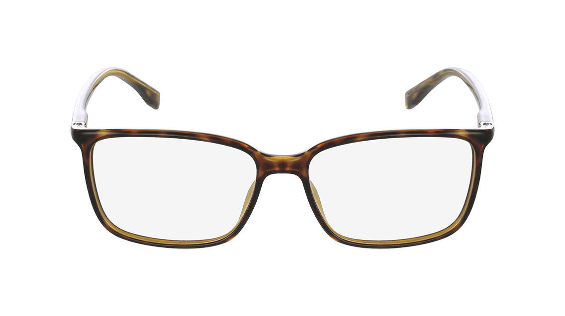 Hugo Boss Boss 0679 | Designer Glasses