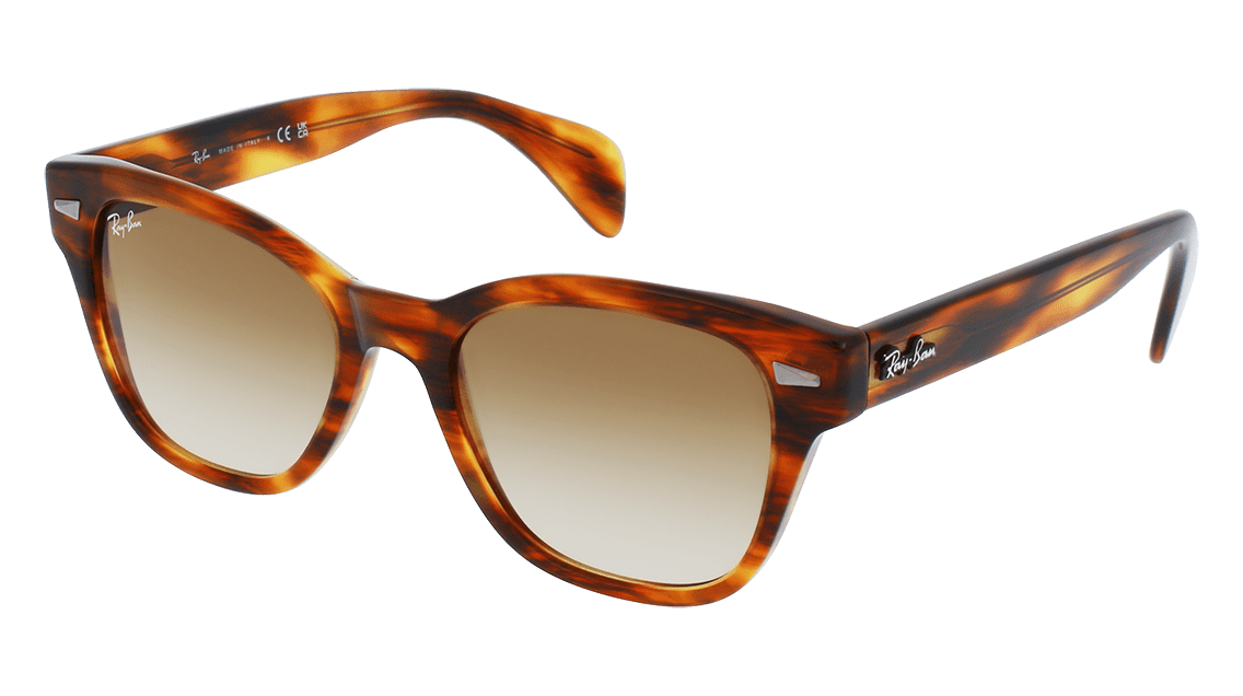 Ray Ban RB0880S Sunglasses | Designer Glasses