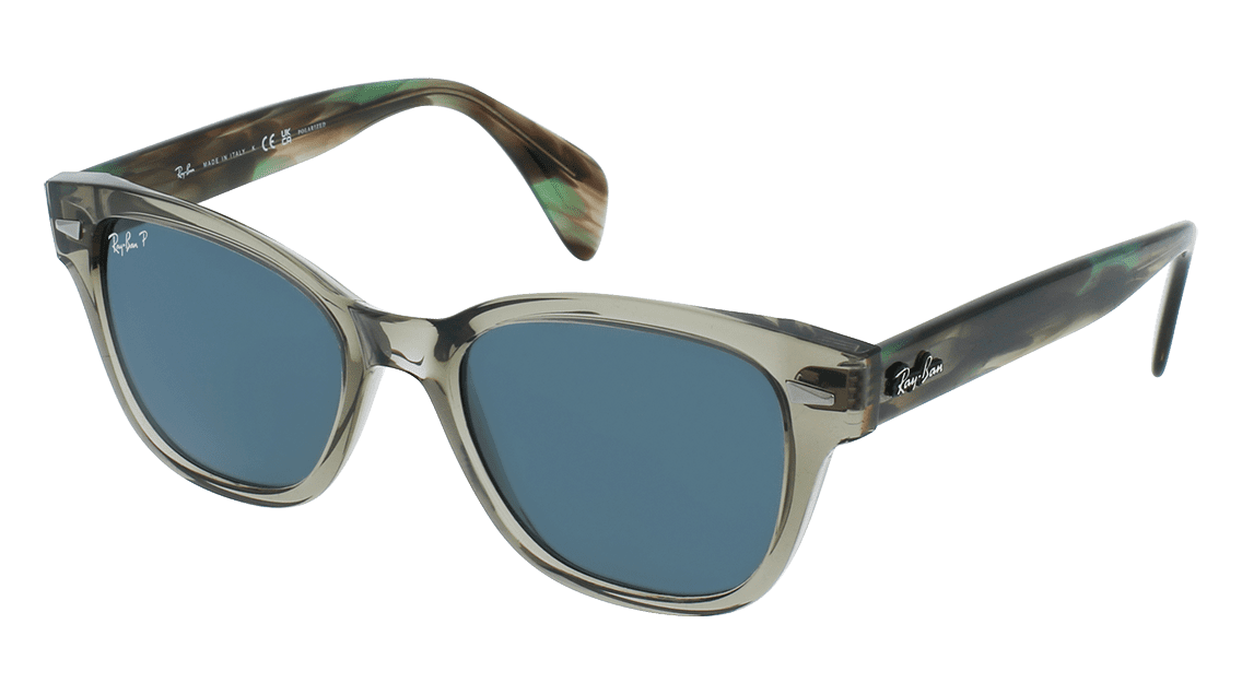 Ray Ban RB0880S Sunglasses | Designer Glasses