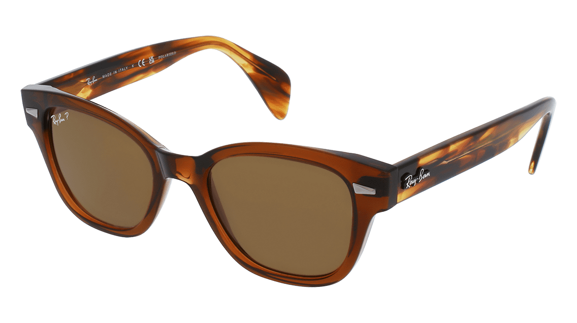 Ray Ban RB0880S Sunglasses | Designer Glasses