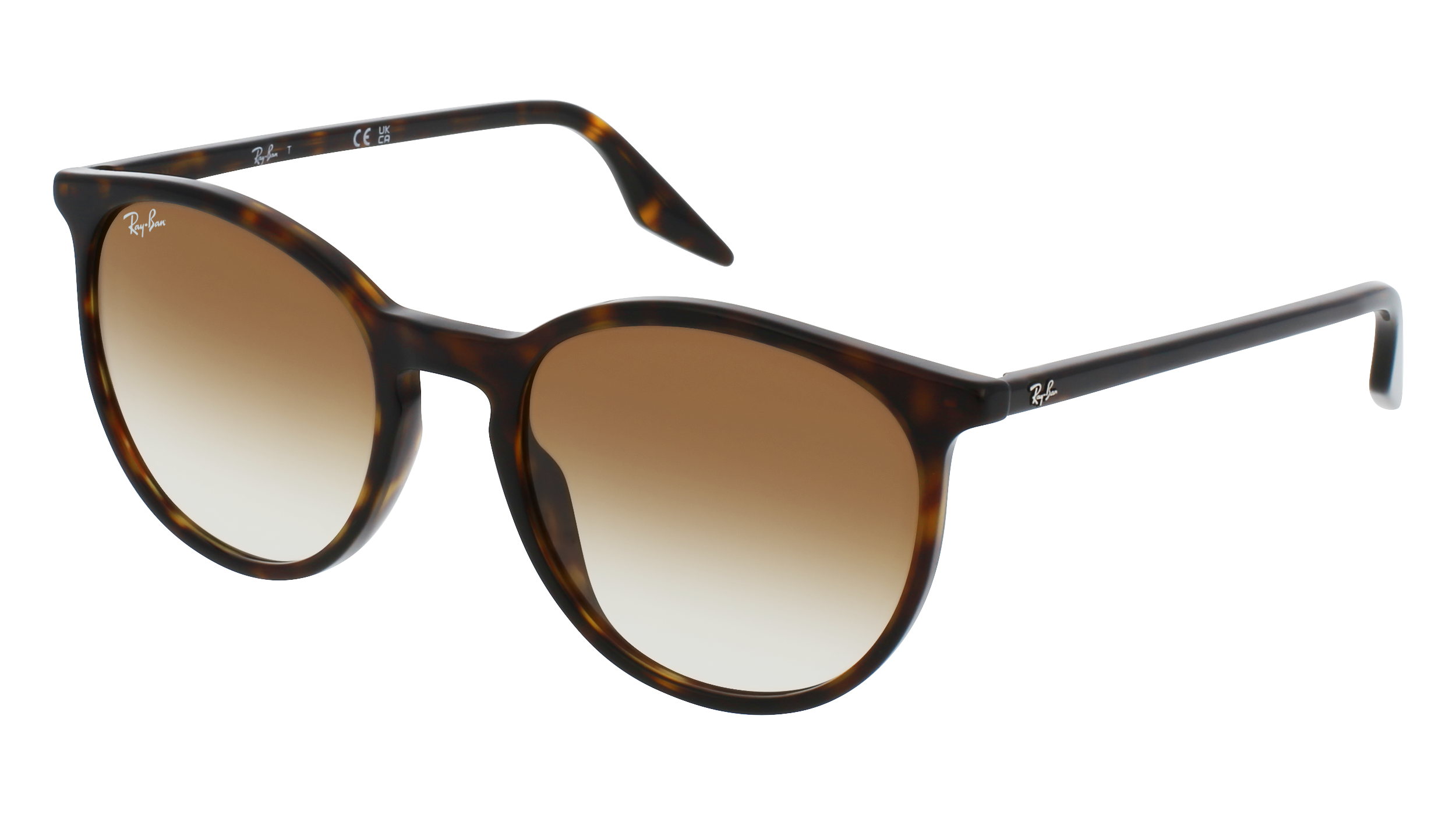 Ray Ban RB2204 Sunglasses | Designer Glasses