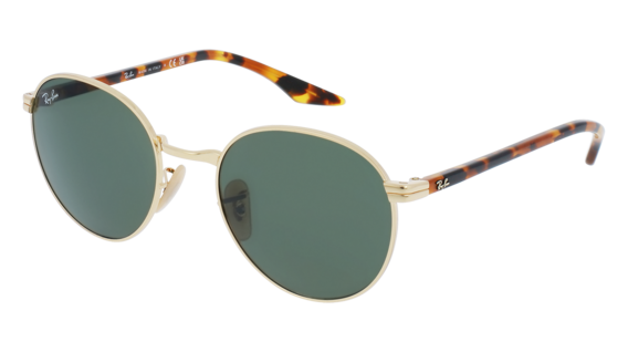 Ray Ban RB3691 Sunglasses | Designer Glasses