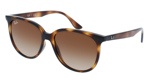Ray Ban RB4378 Sunglasses | Designer Glasses