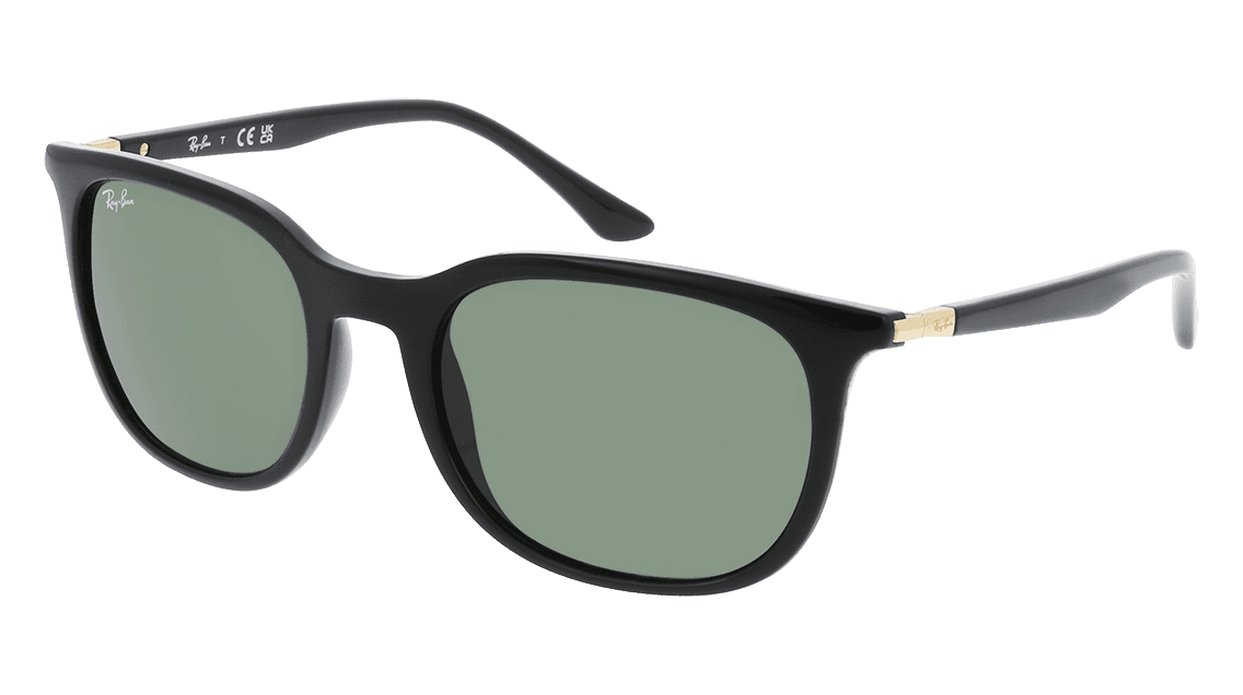Ray-Ban RB4386 Sunglasses | Designer Glasses