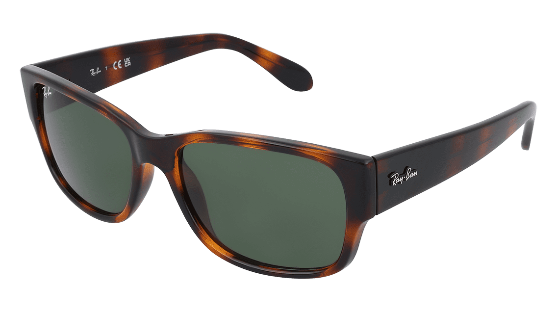 Ray Ban RB4388 Sunglasses | Designer Glasses