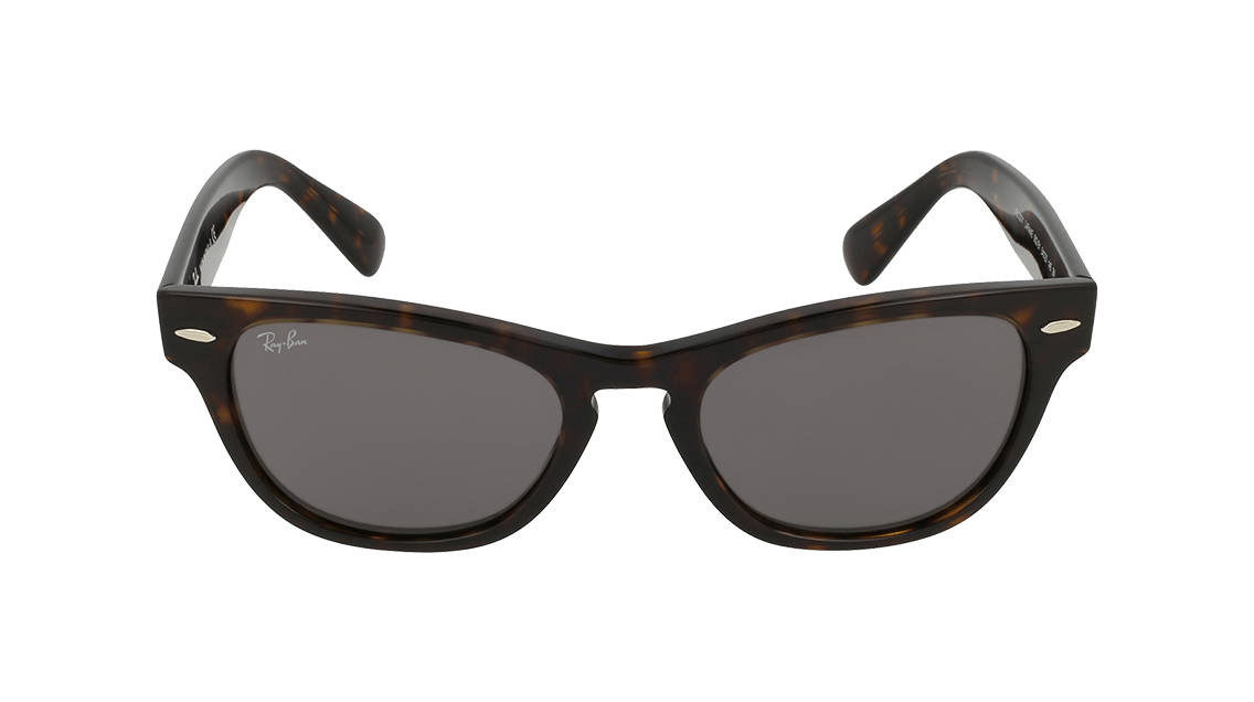 Rayban RB2201 Laramie Sunglasses | Designer Glasses