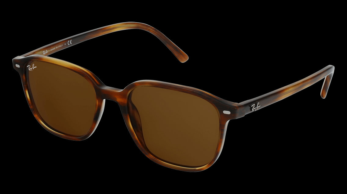 Rayban RB 2193 RB2193 Leonard Sunglasses | Designer Glasses