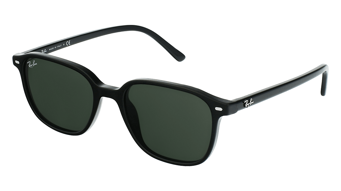 Rayban RB 2193 RB2193 Leonard Sunglasses | Designer Glasses