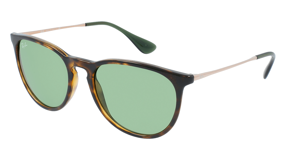Ray-Ban RB 4171 RB4171 Erika Sunglasses | Designer Glasses