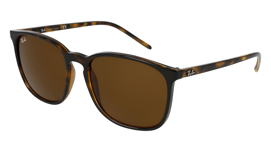 Rayban RB 4387 RB4387 Sunglasses | Designer Glasses