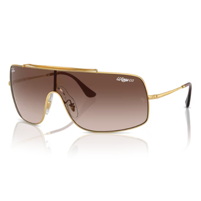 Ray Ban RB3897 Wings iii Sunglasses | Designer Glasses