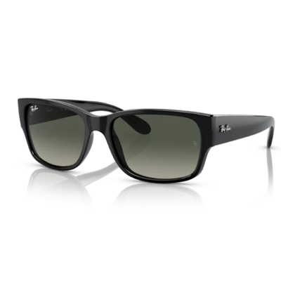 Ray Ban RB4388 Sunglasses | Designer Glasses