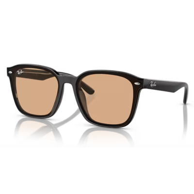 Ray Ban RB4392D Sunglasses | Designer Glasses