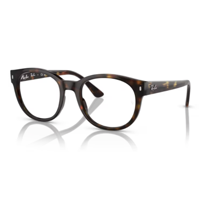 Ray Ban RX7227 | Designer Glasses