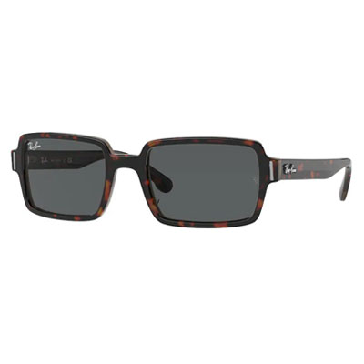 Rayban RB2189 Benji Sunglasses | Designer Glasses