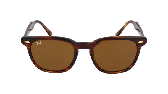Ray Ban RB2298 Hawkeye Sunglasses | Designer Glasses
