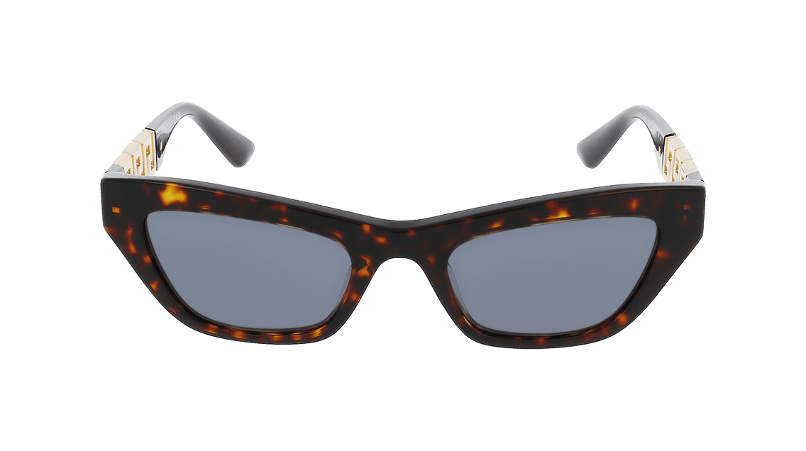 Versace VE4419 Sunglasses | Designer Glasses